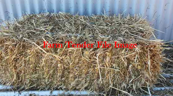 Rye Grass Hay Hay And Fodder Pasture Hay For Sale
